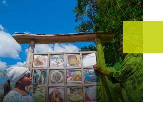 Páginas - Enfoque de Sostenibilidad